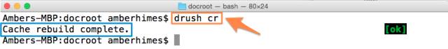 Clear Drupal's Cache | Drupal 8, Drupal 9, and Drupal 10